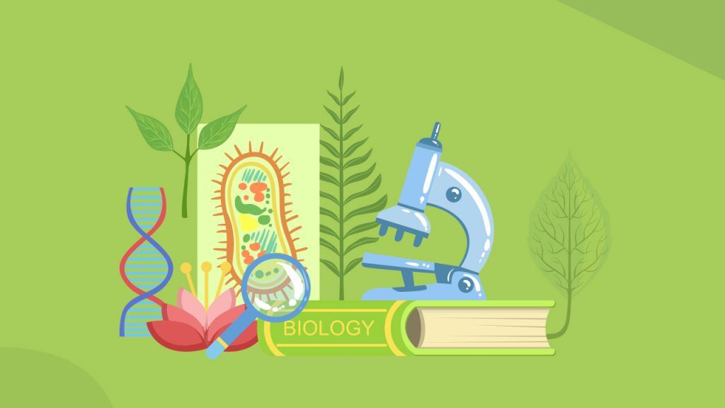 Fun And Useful Mnemonics Suggestions For Biology Students